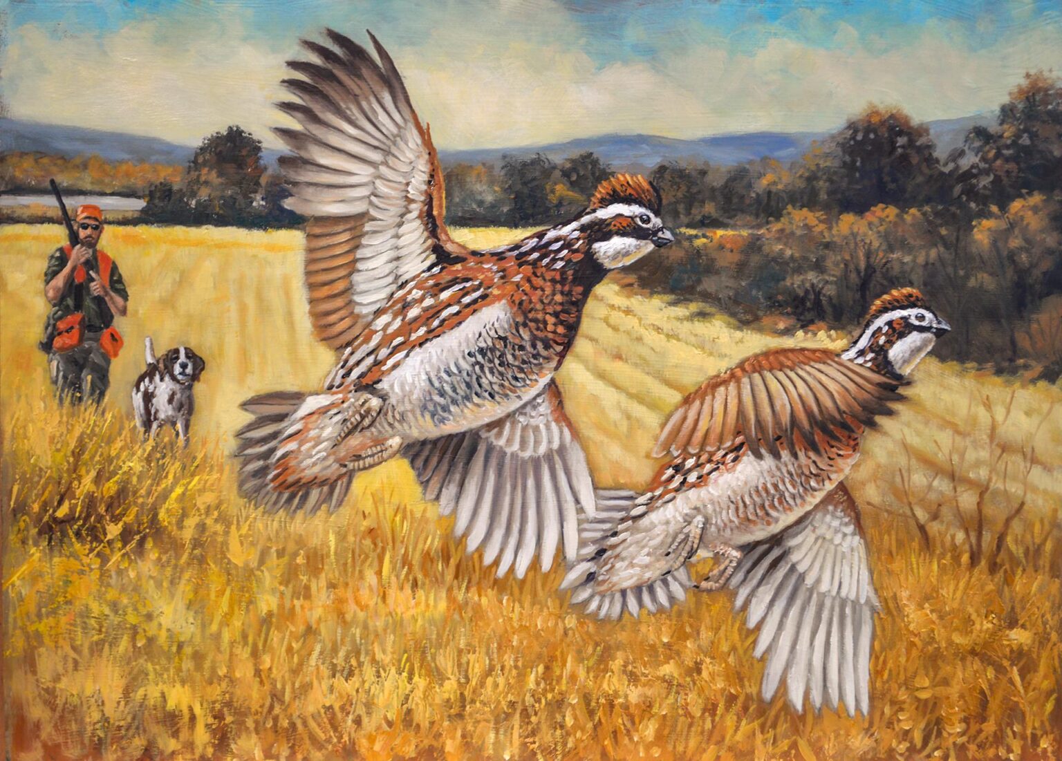 Call to Artists: 2025 Arkansas State Quail & Turkey Stamp Art ...