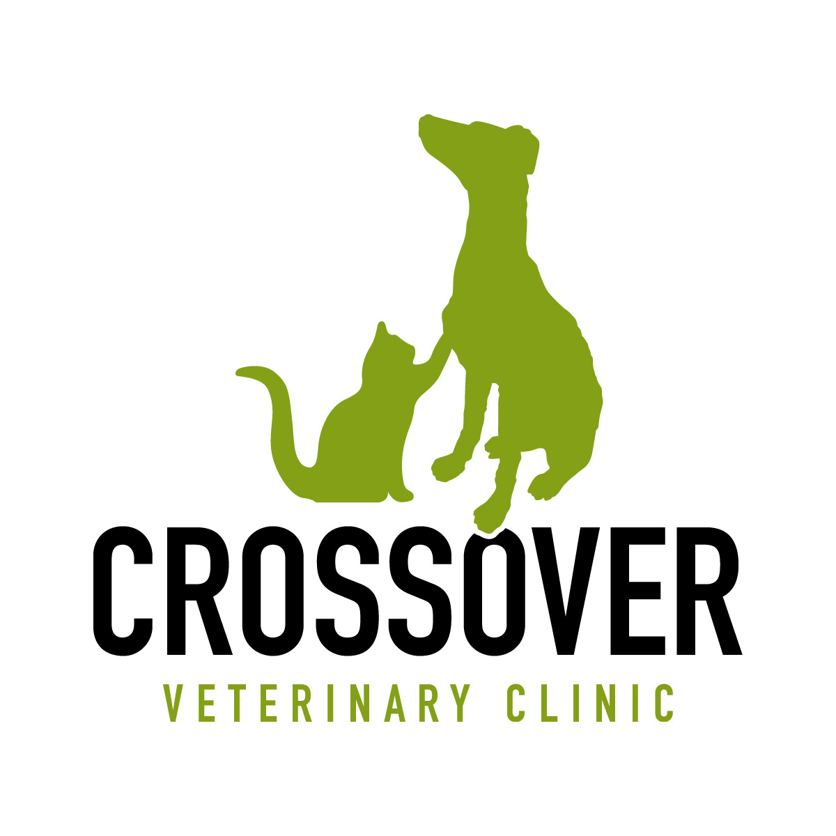 Festival - Historic Cane Hill Arkansas