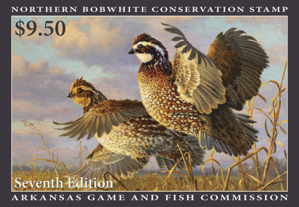 Home - Historic Cane Hill Arkansas